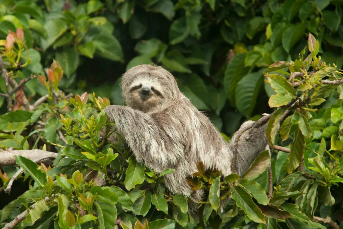 About Us - OpenZone - Our Mission, Vision and Values